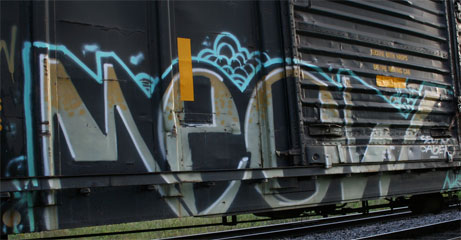 Meow Canada Graffiti | Senses Lost